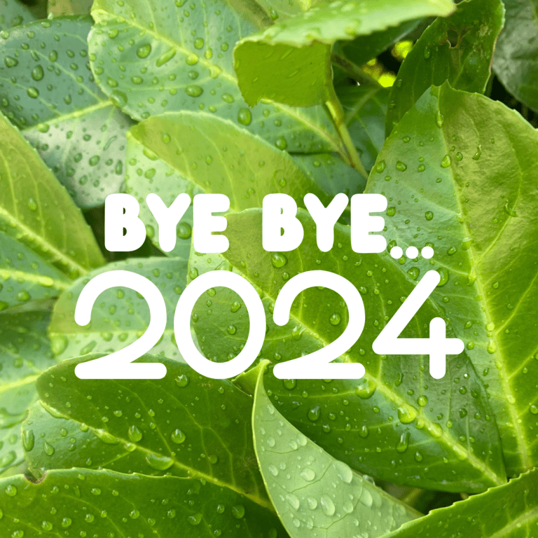 10 Bonnes nouvelles écologiques pour dire bye bye à 2024. – Bee-greener. l Blog écolo et zéro ...
